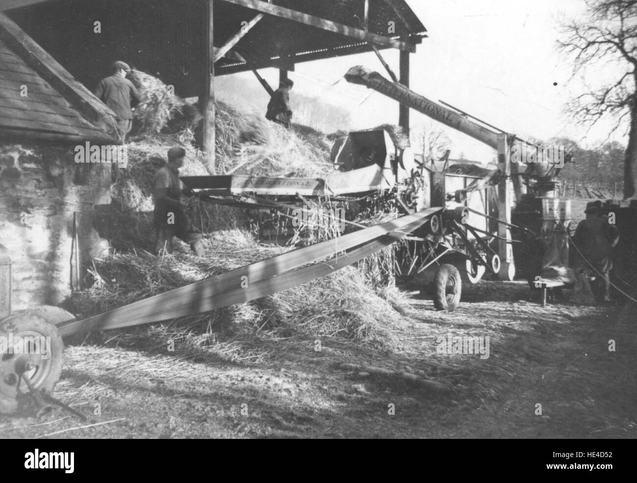 Hay workers at Hook in the early 1900s, performing manual labor in the ...
