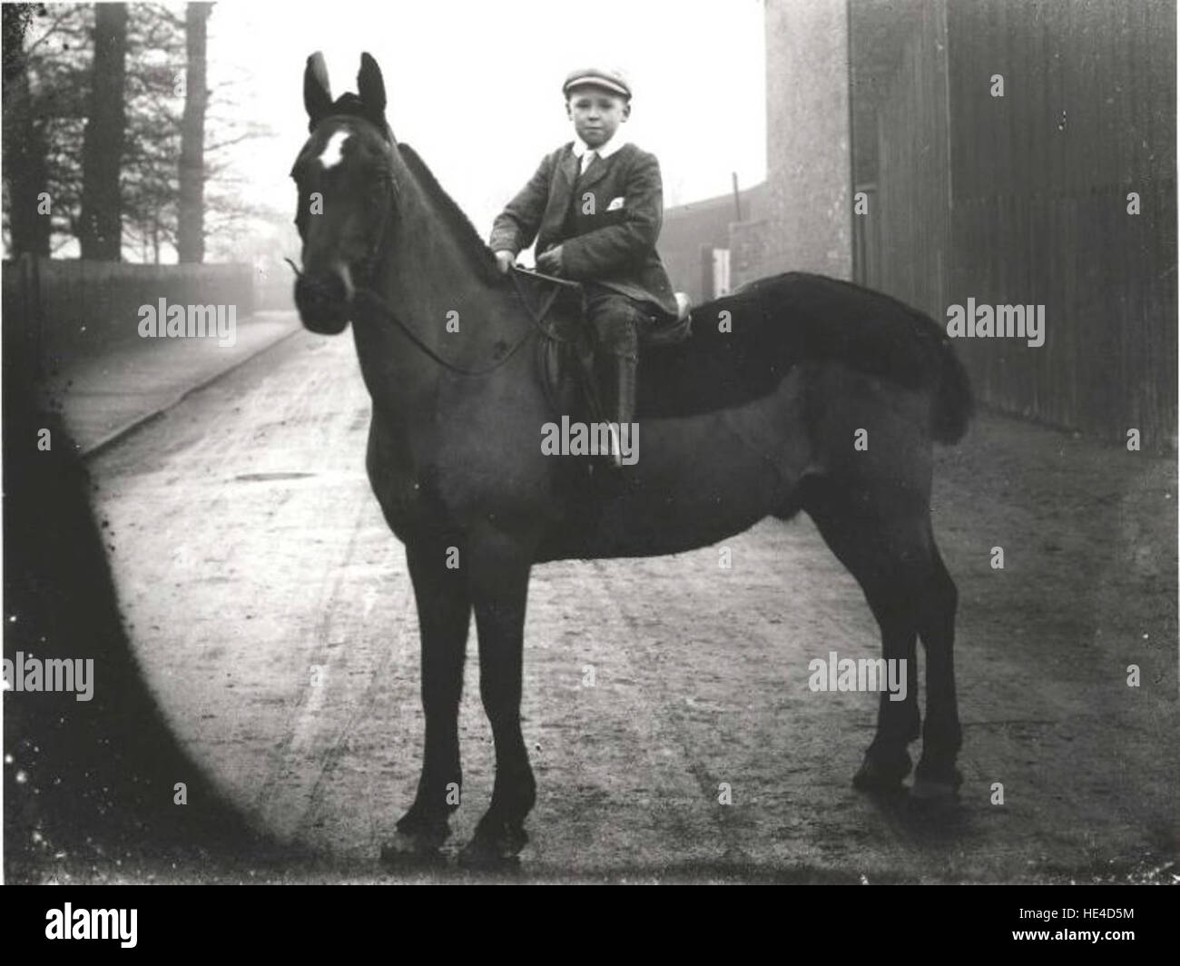 Boy on horse, Walkergate, Beverley, circa 1900, historical photograph ...