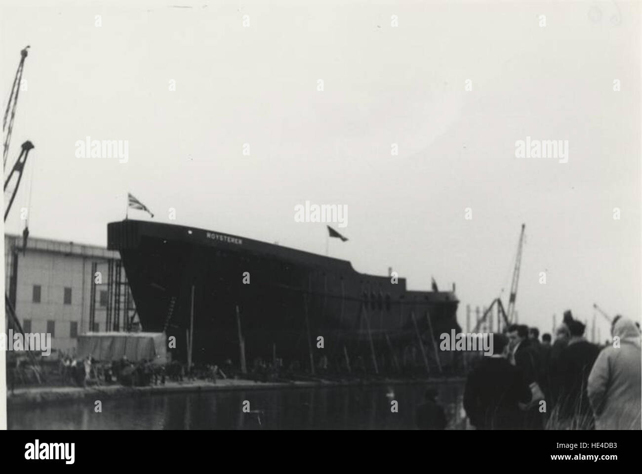 Roysterer hi-res stock photography and images - Alamy