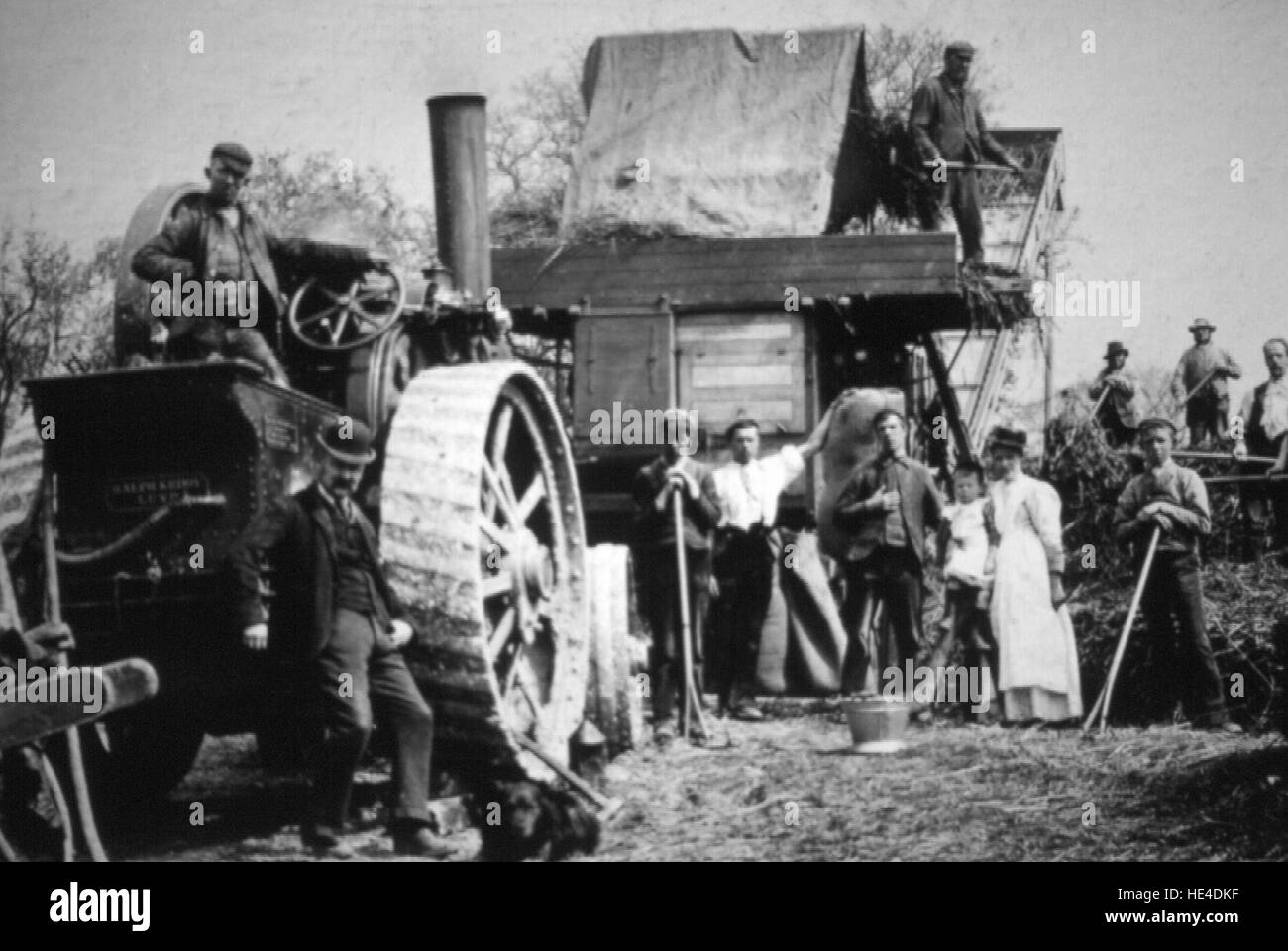 Threshing at Lockington circa1910 DDX1862-1 Stock Photo - Alamy