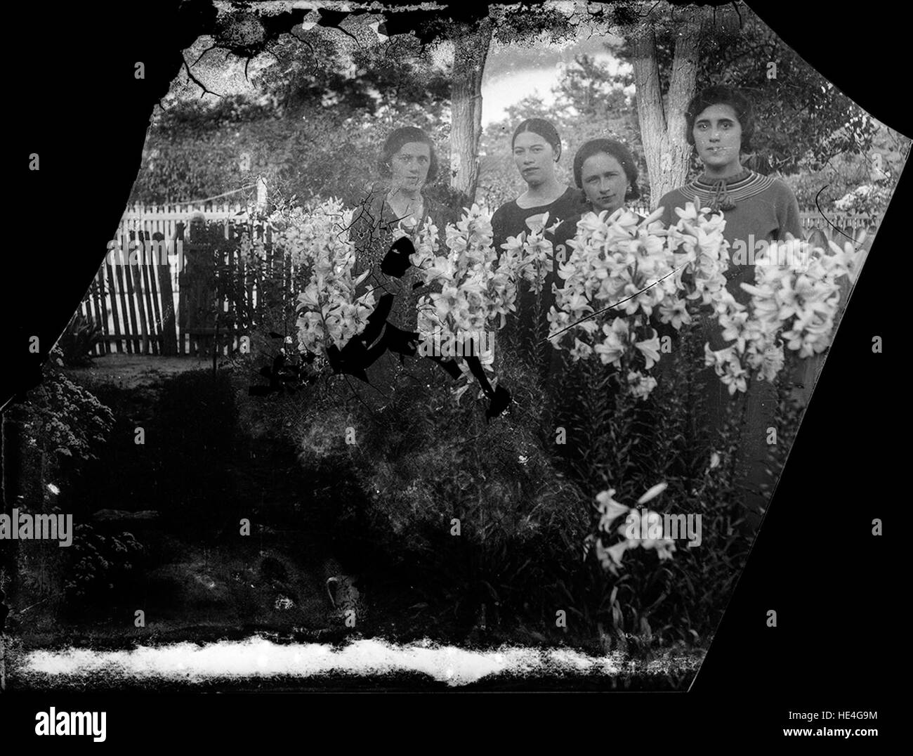 Patru hi-res stock photography and images - Alamy