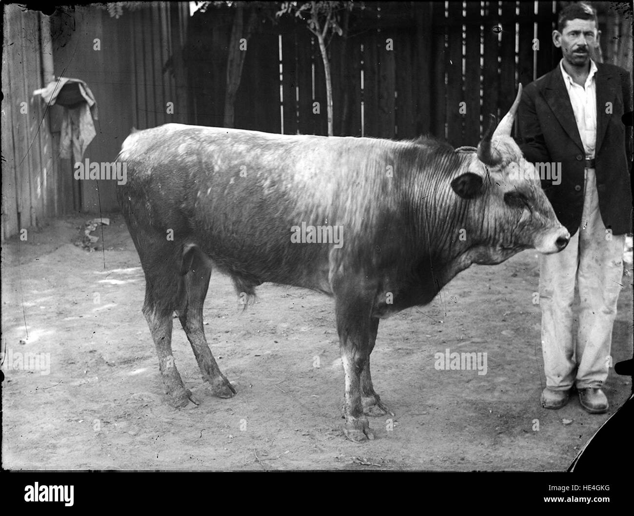 20140813 Black and White Stock Photos & Images - Alamy