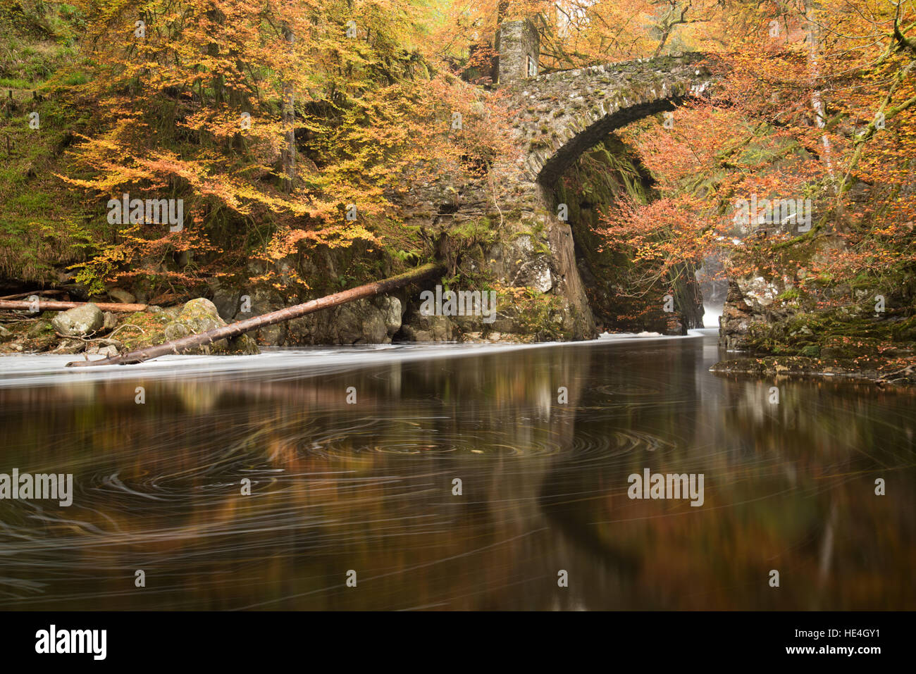 Bridge by the Falls of Braan, Hermitage, Scotland. UK Stock Photo - Alamy