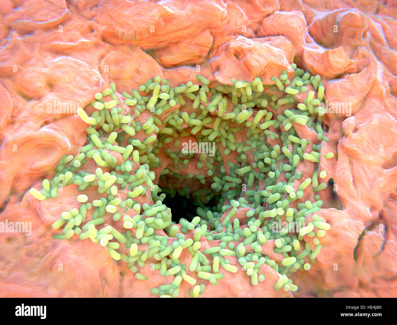 Perspiration evaporation hi-res stock photography and images - Alamy