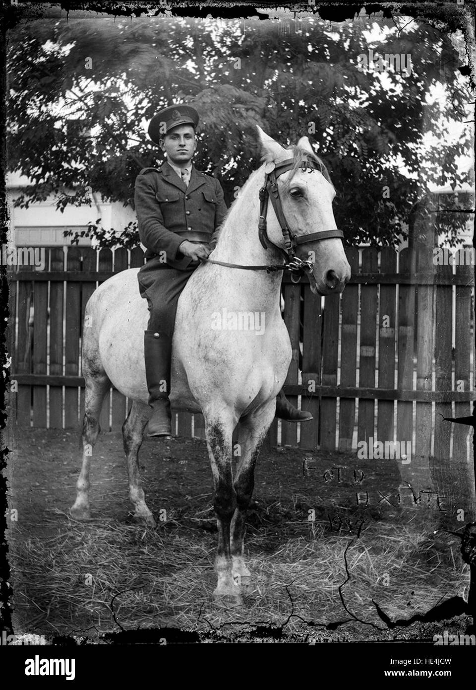 A historic photograph of a mounted soldier in 1937, taken by Costica ...
