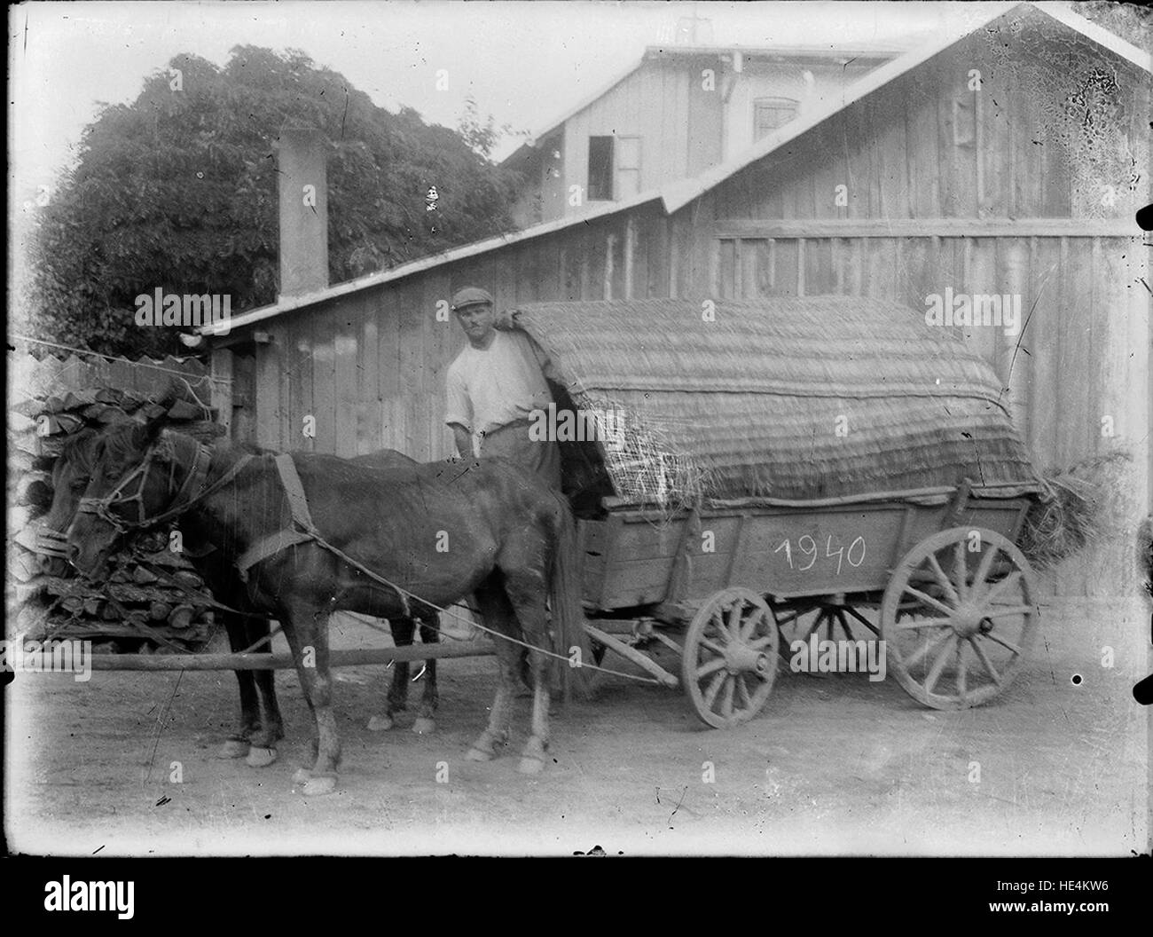 Covered horse wagon, 1940, historical photograph, Costica Acsinte ...