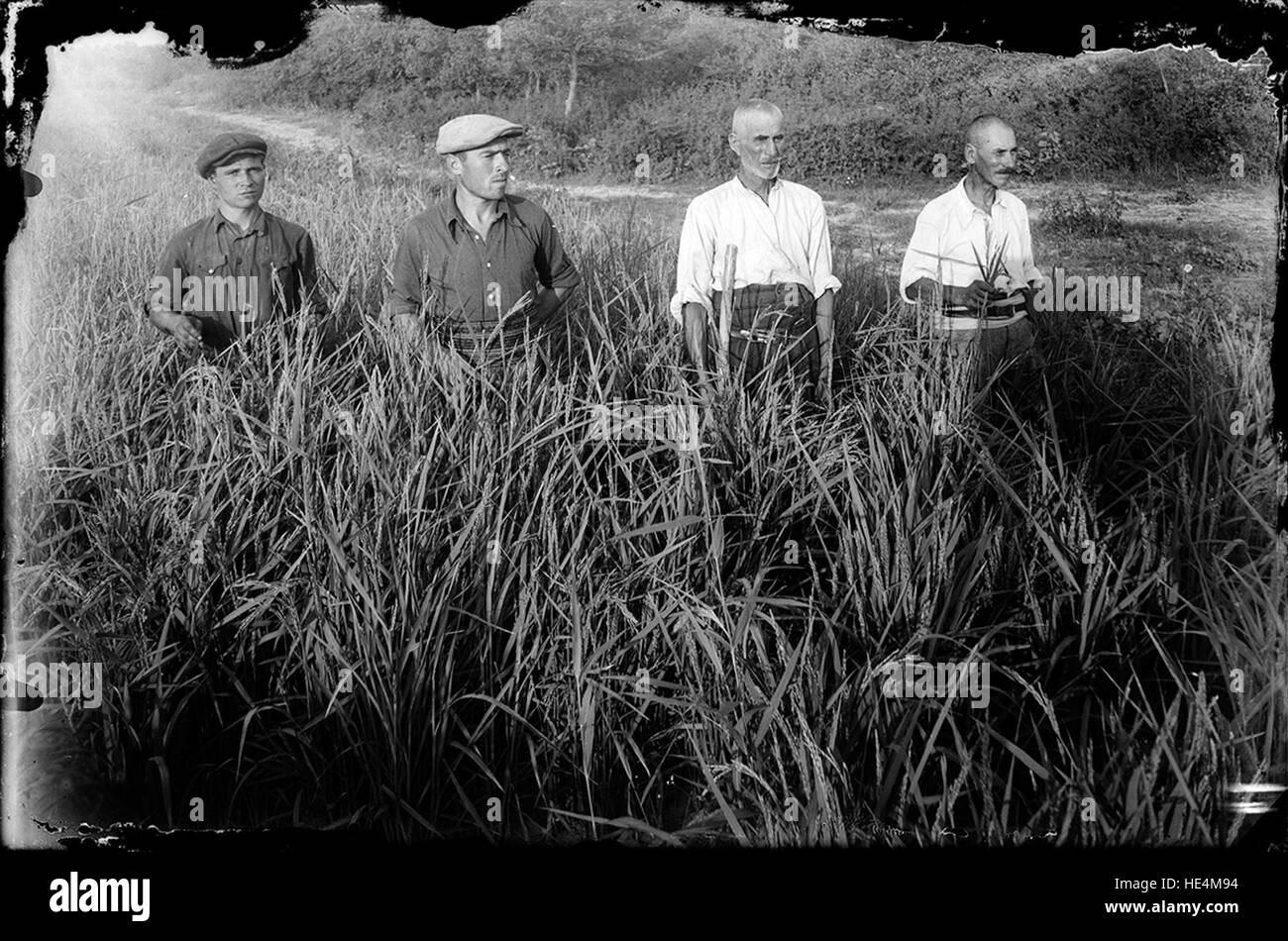 Patru hi-res stock photography and images - Alamy