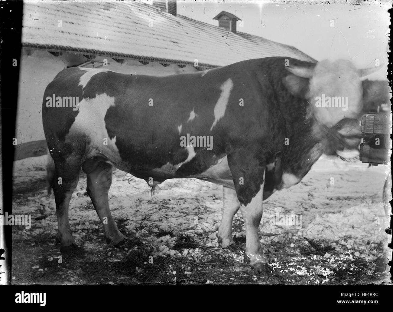 20161109 hi-res stock photography and images - Alamy