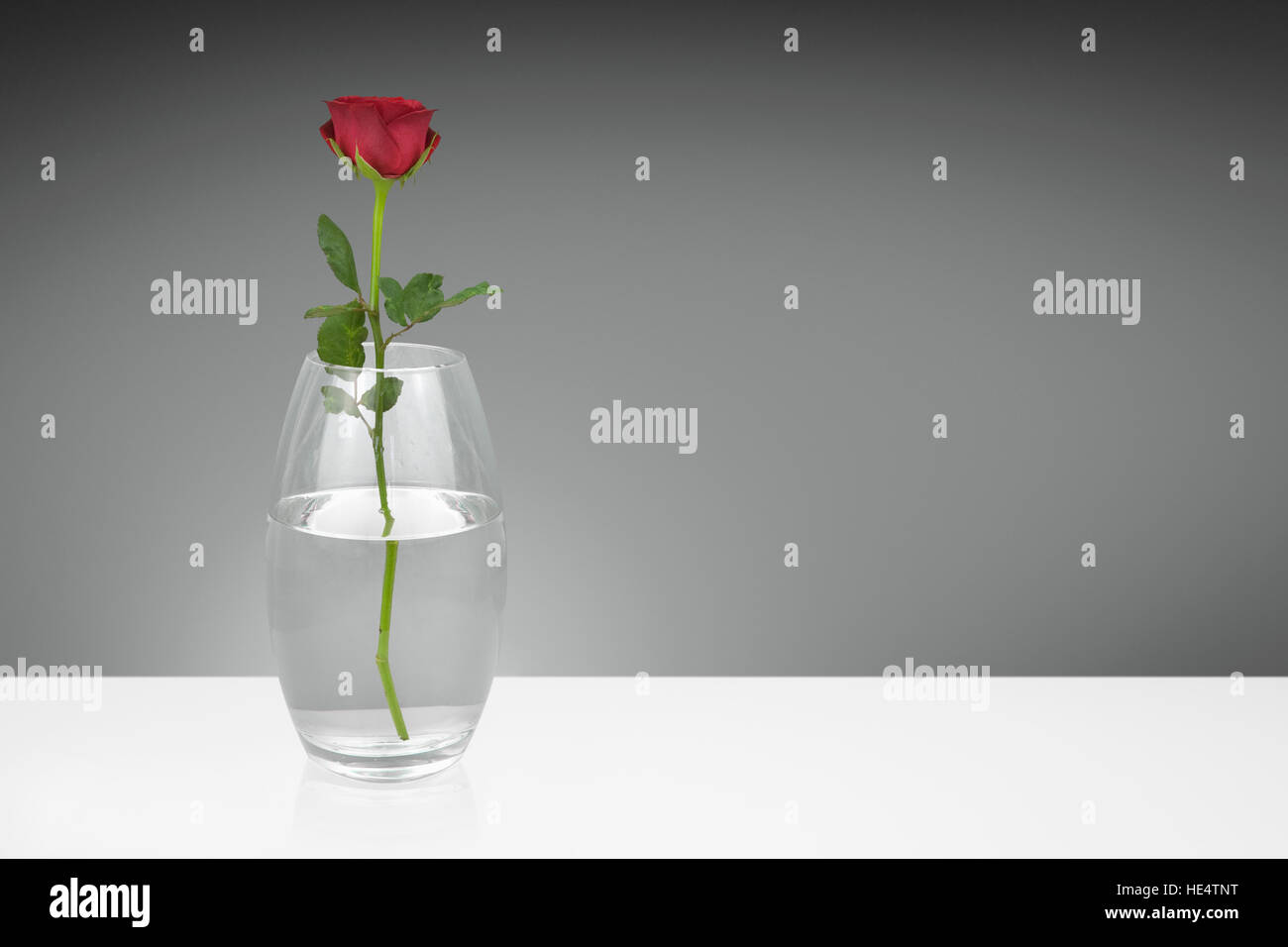 Single red rose in a glass vase Stock Photo - Alamy
