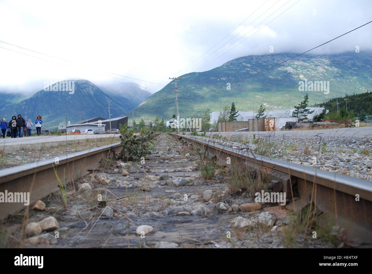 Bush tracks hi-res stock photography and images - Alamy