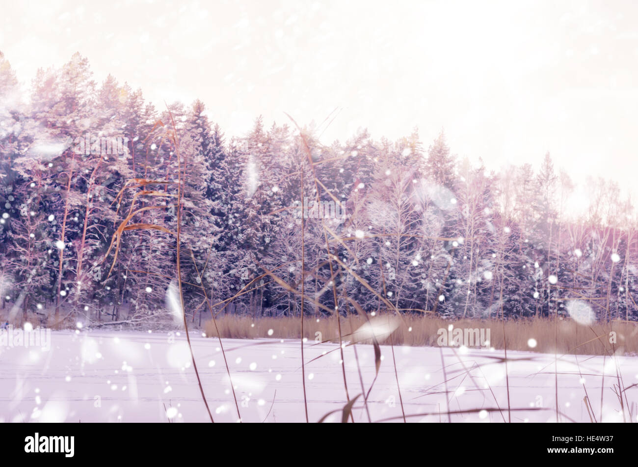 Abstract nature landscape new hi-res stock photography and images - Alamy