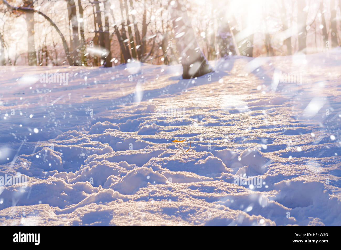 Magic landscape hi-res stock photography and images - Alamy