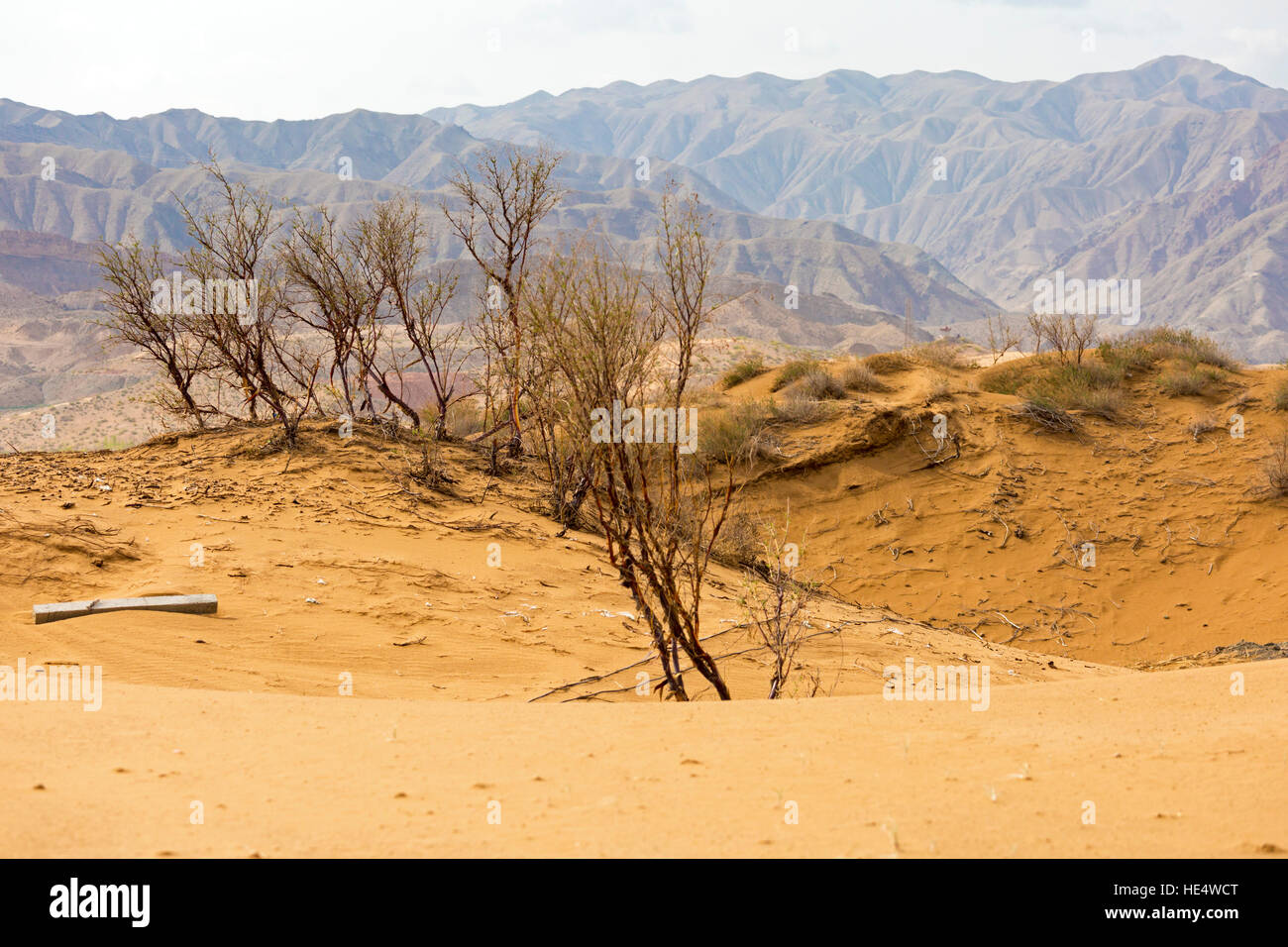 Shapotou Scenic Area, Zhongwei, Ningxia, China Stock Photo - Alamy