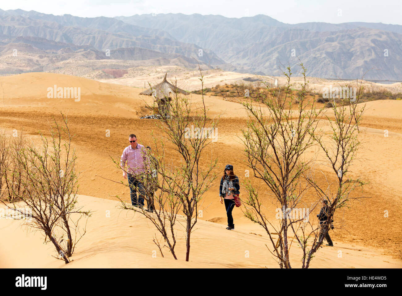 Tourists in the desert at Shapotou Scenic Area, Zhongwei, Ningxia ...
