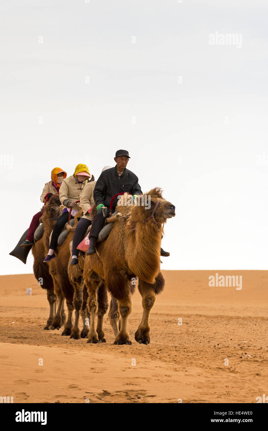 China camel rider in hi-res stock photography and images - Alamy