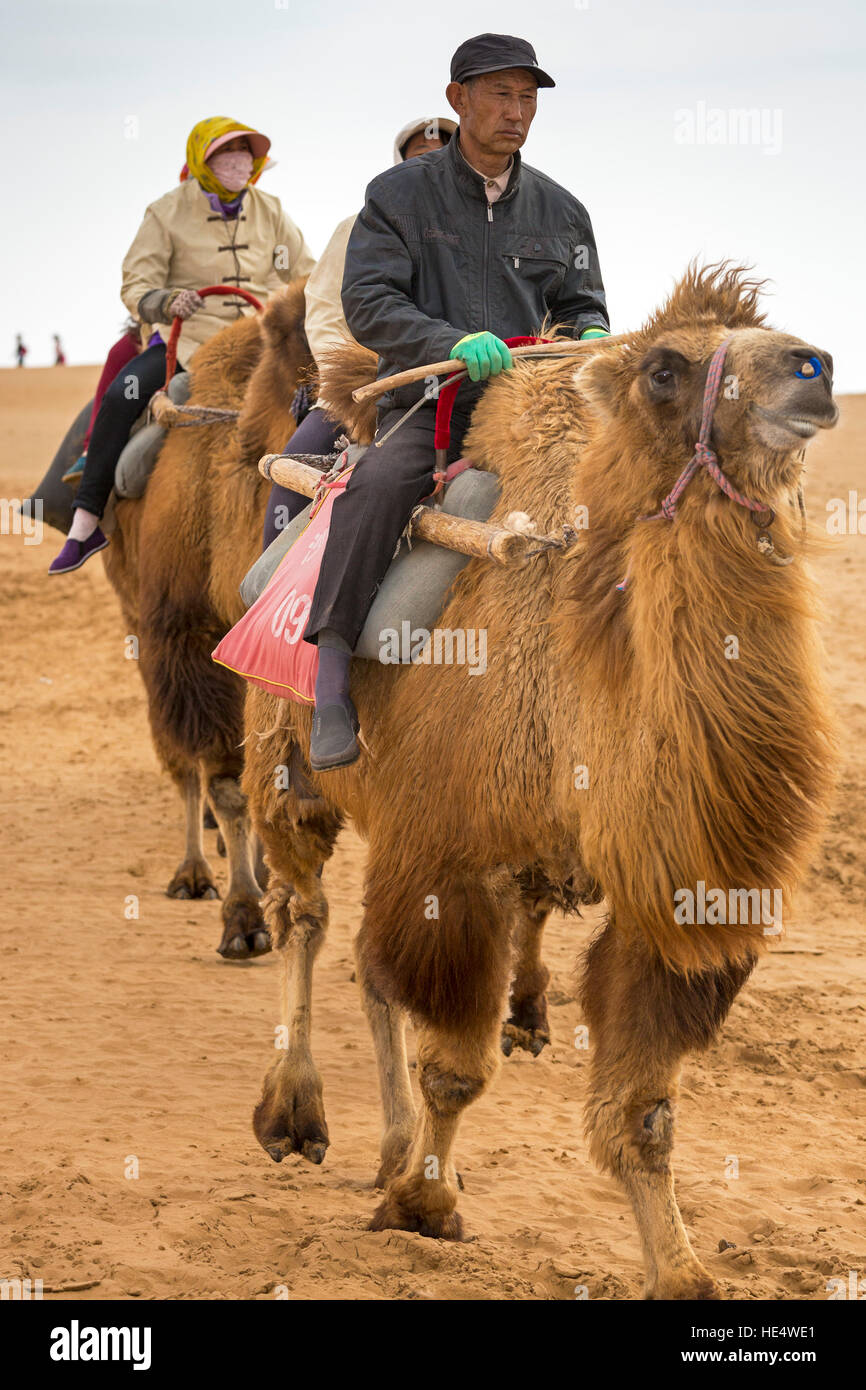 China camel rider in hi-res stock photography and images - Alamy