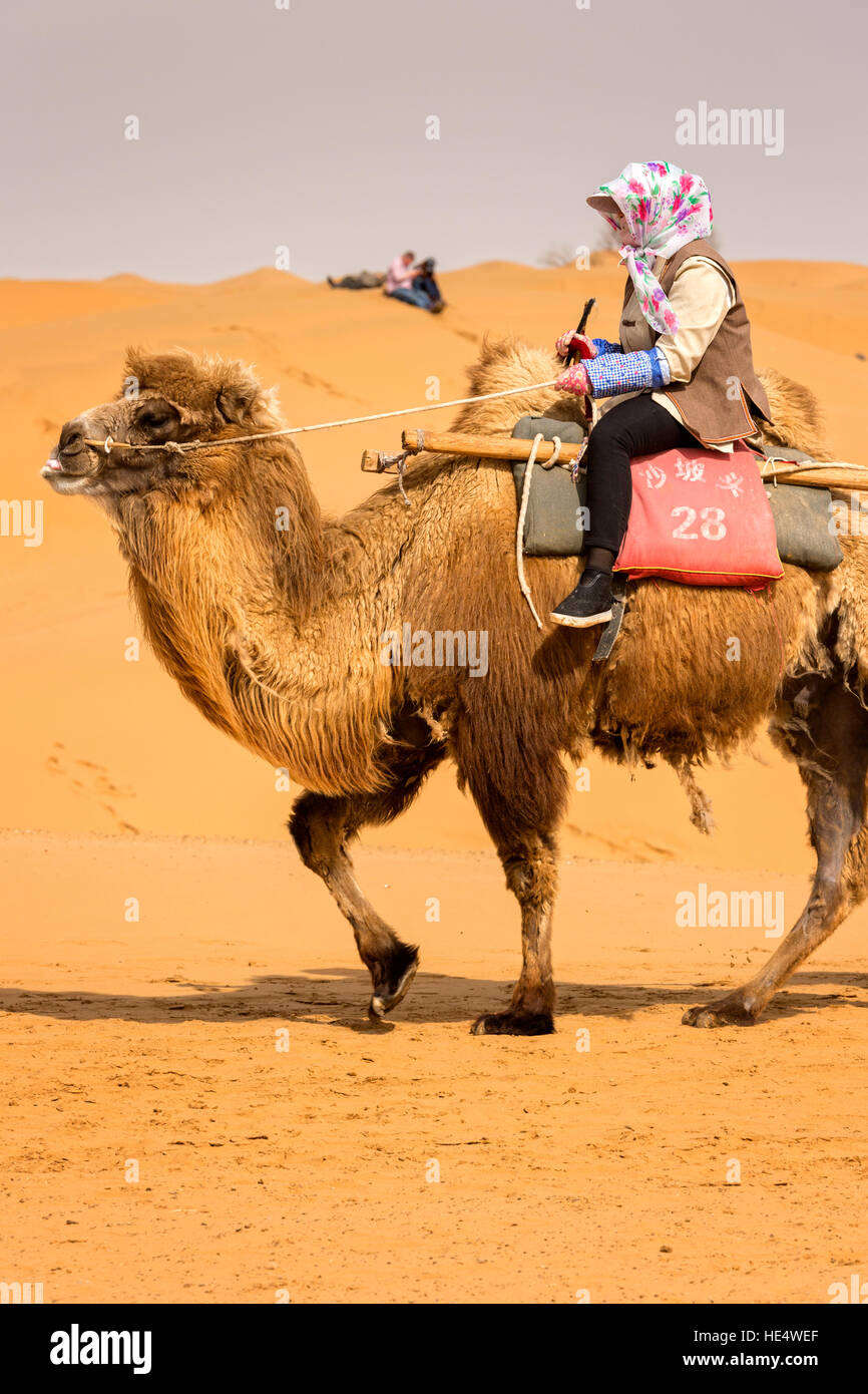 Camel guide hi-res stock photography and images - Alamy