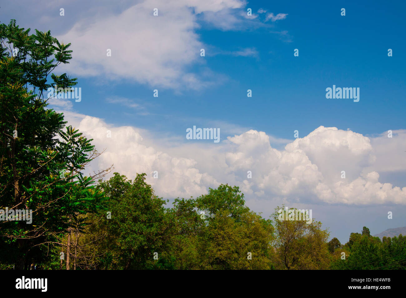 Autumn trees with clouds in the background Stock Photo - Alamy