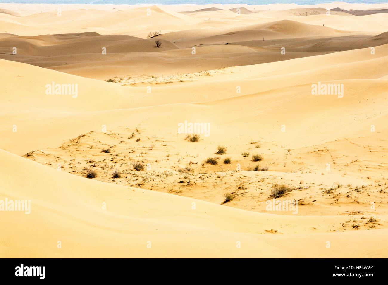 Barren desert hi-res stock photography and images - Alamy