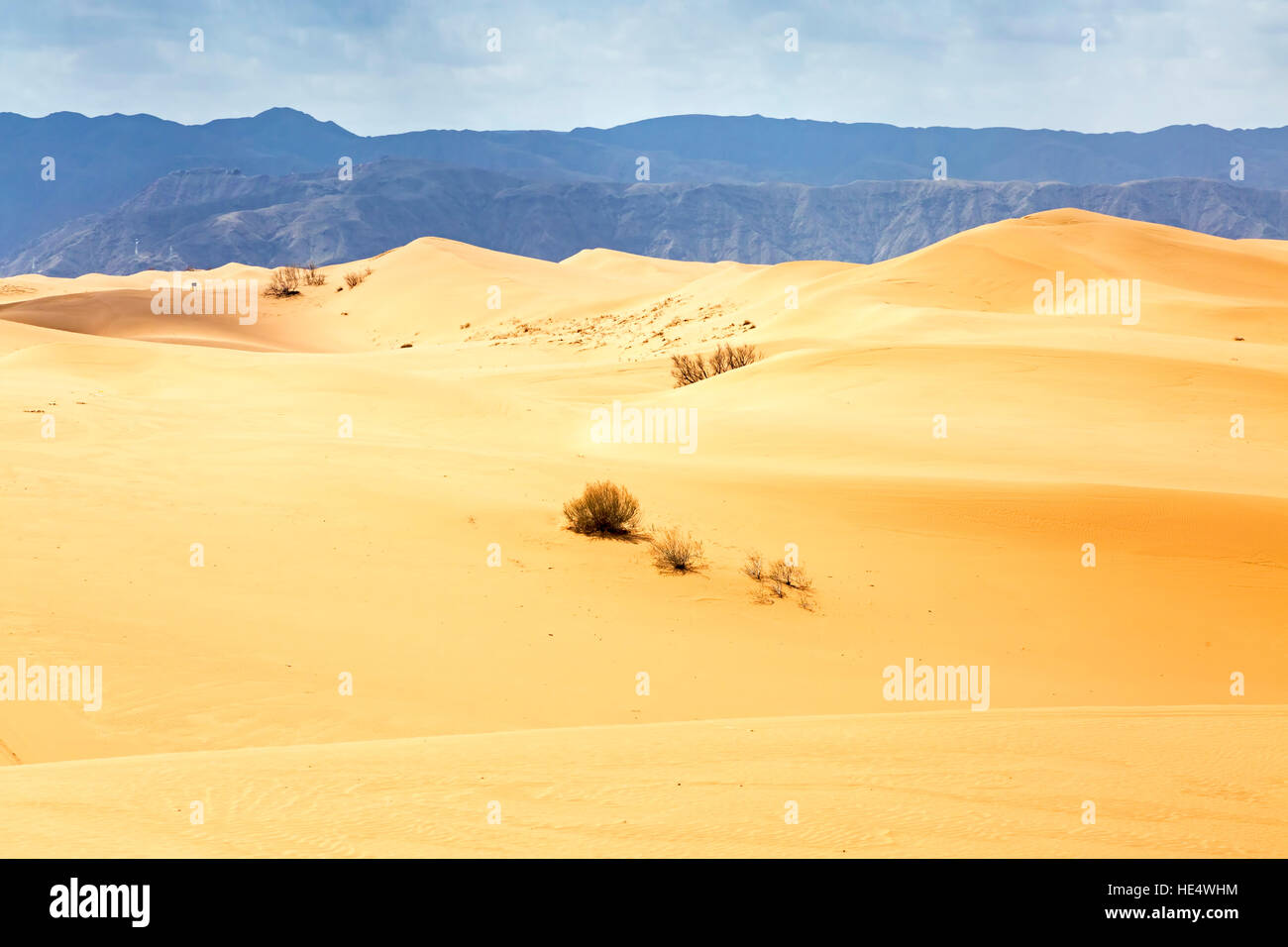 Shapotou Scenic Area, Zhongwei, Ningxia, China Stock Photo - Alamy