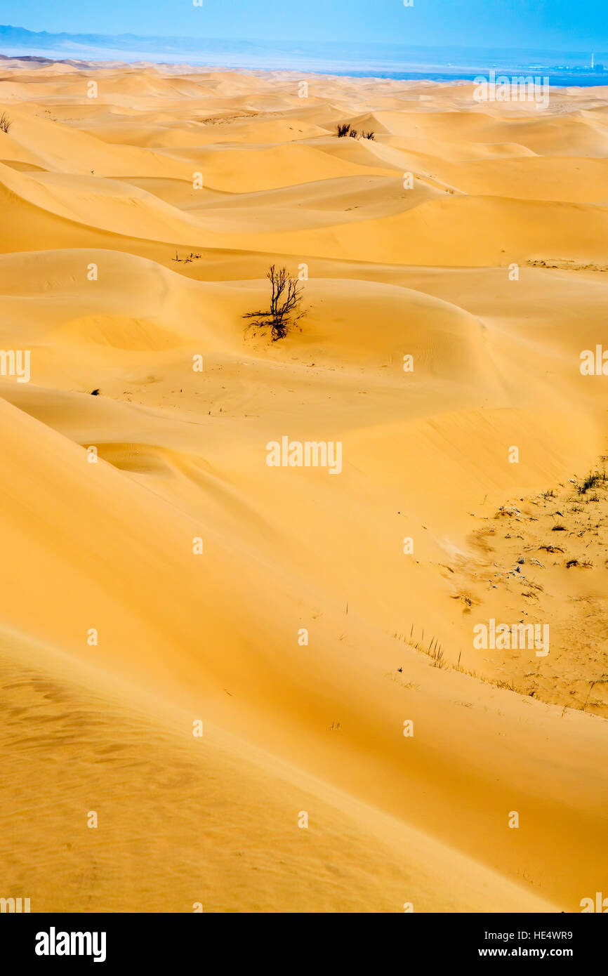 Desert at Shapotou Scenic Area, Zhongwei, Ningxia, China Stock Photo ...