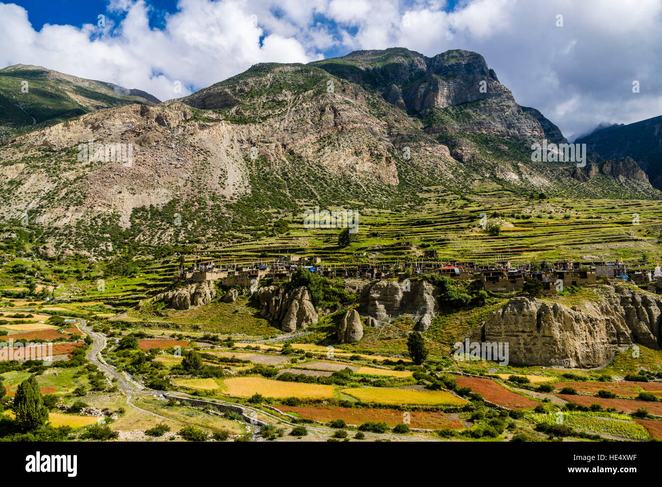 Aerial view on the village Manang and the agricultural landscape of the ...