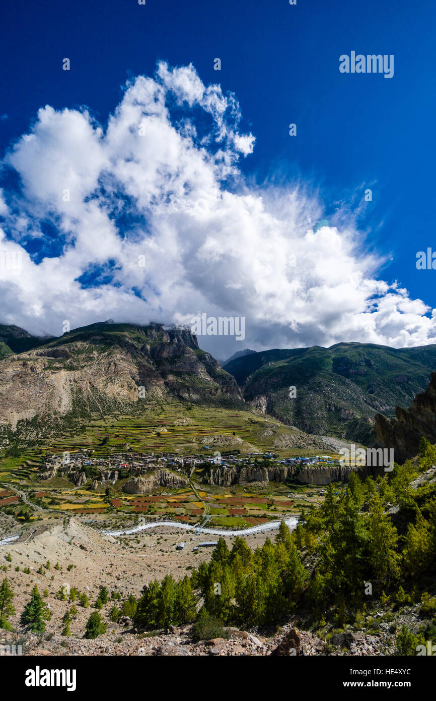 Aerial view on the village Manang and the agricultural landscape of the ...