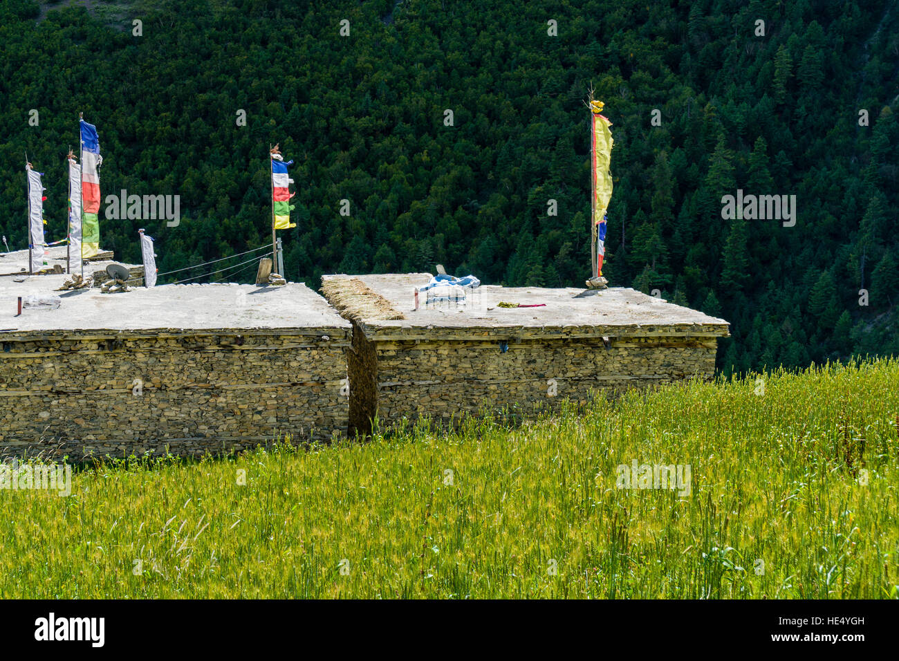 The houses of the village Khangsar are located on the trekking route to ...