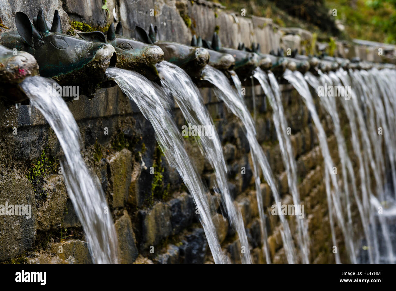 The sacred water flows out of 108 pipes around the temple complex Stock ...