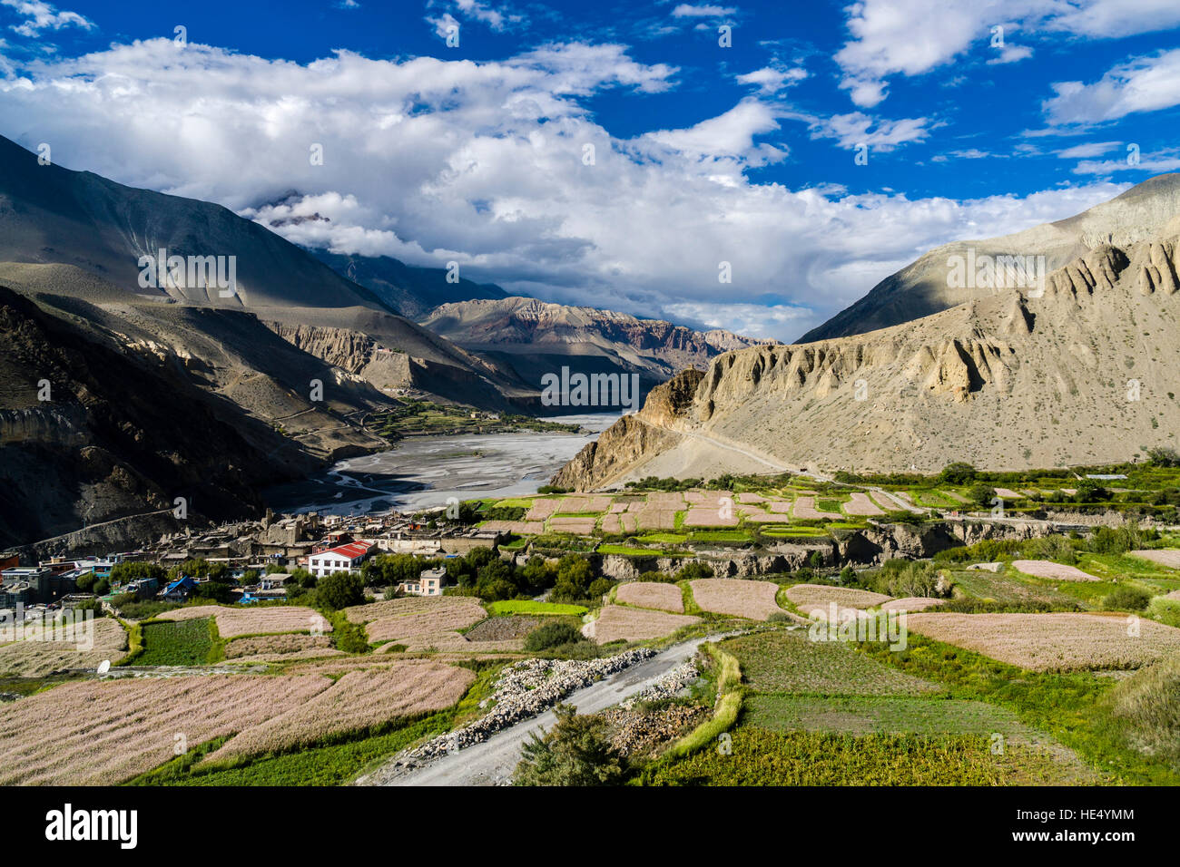 Aerial view on agricultural landscape of the Kali Gandaki valley with ...