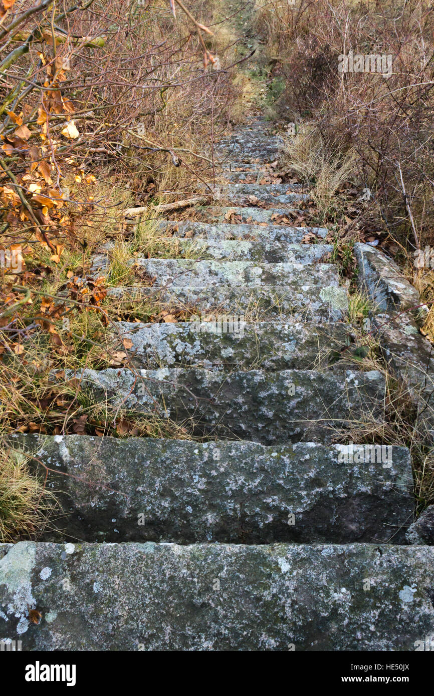 Climbing ancient steps to success may be the safest decision Stock ...