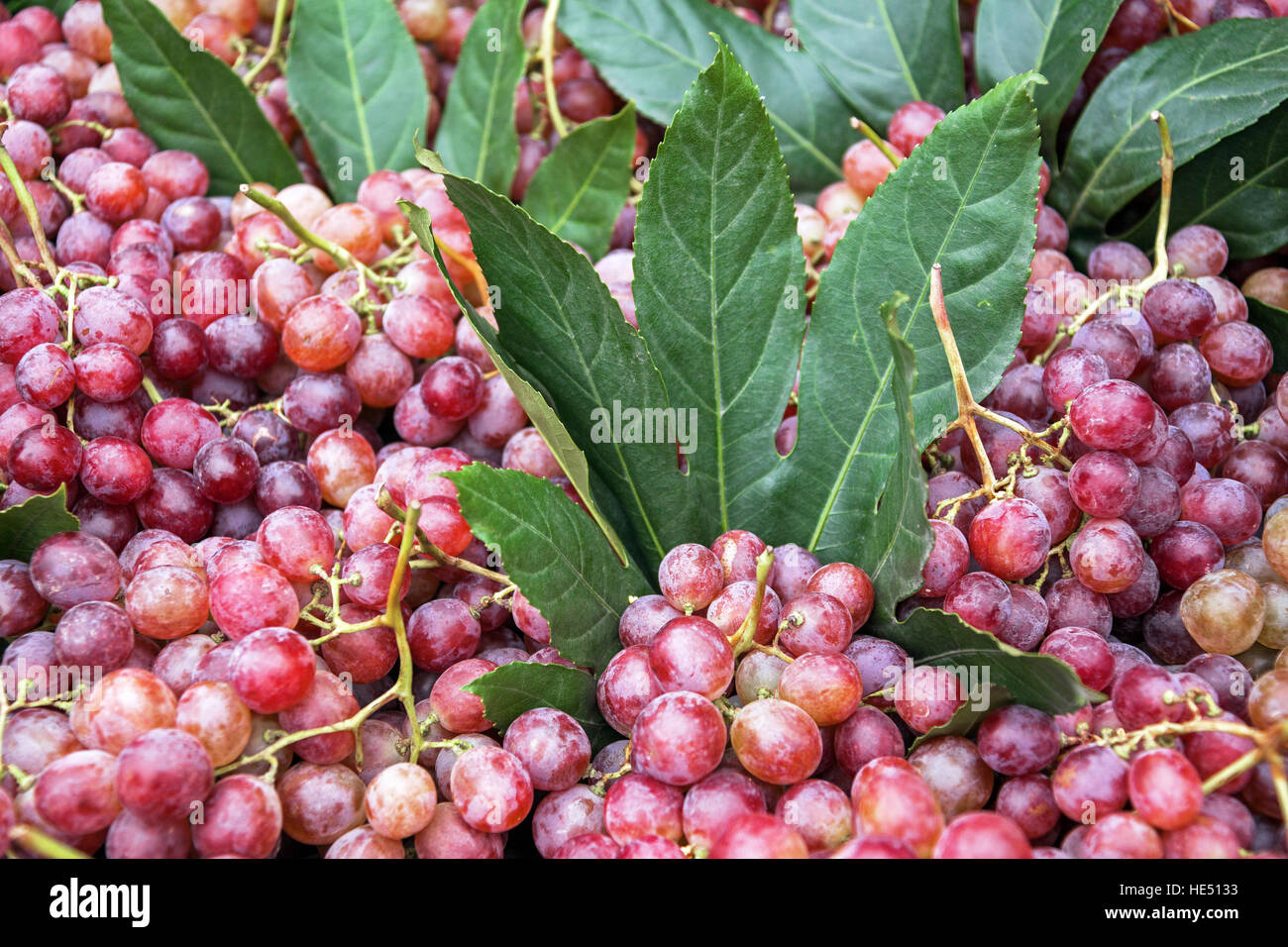 Red grapes background, concept wine, crop and juice Stock Photo - Alamy