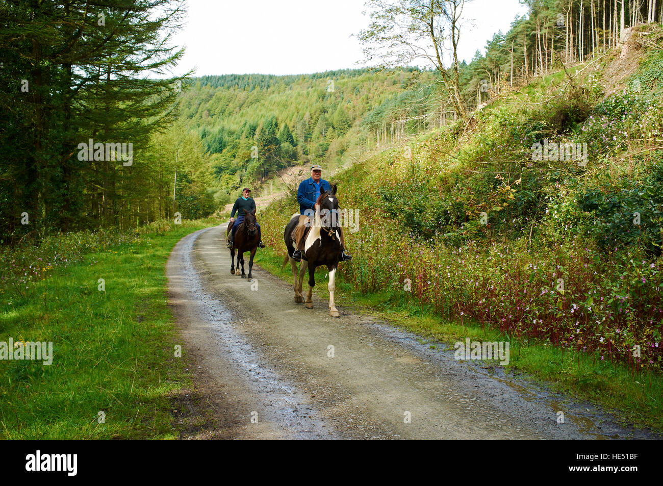 Two Horseriders riding in Afan Argoed Park, Port Talbot, Wales, UK ...