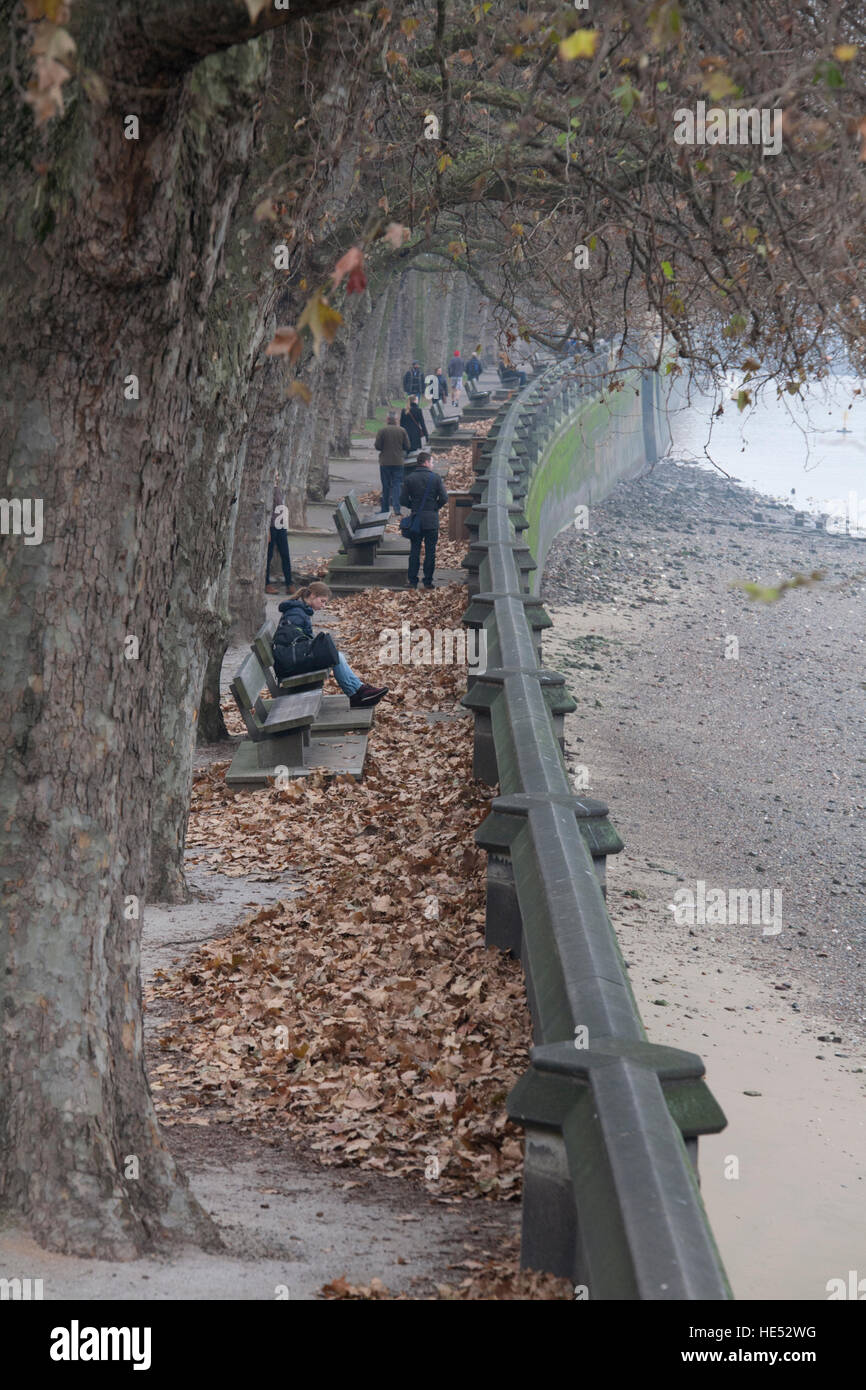 seats benches Westminster, River Thames, London, UK Stock Photo - Alamy