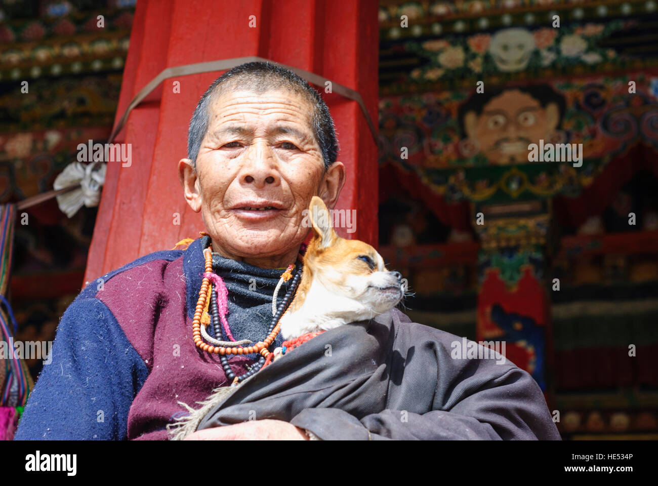 Nechung monastery former seat of the tibetan state oracle hi-res stock ...