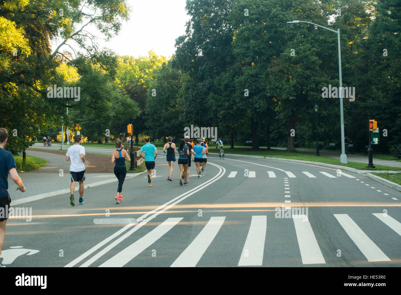 runners in Prospect park Brooklyn NYC Stock Photo - Alamy