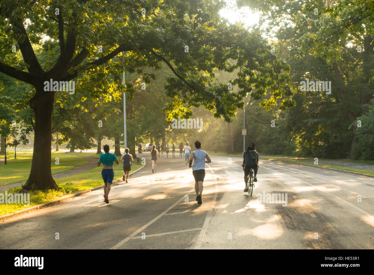 runners in Prospect park Brooklyn NYC Stock Photo - Alamy