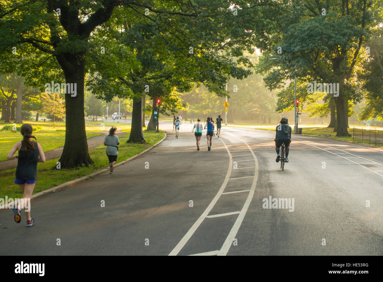 runners in Prospect park Brooklyn NYC Stock Photo - Alamy