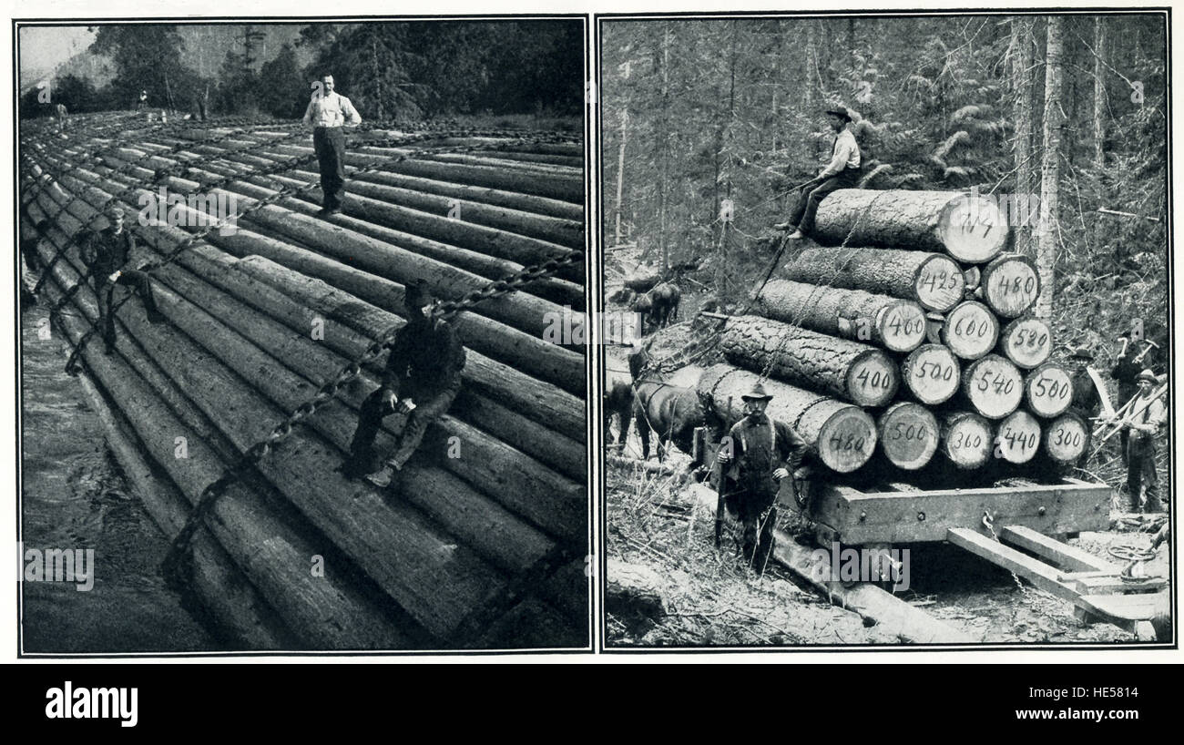 19th century logging hi-res stock photography and images - Alamy