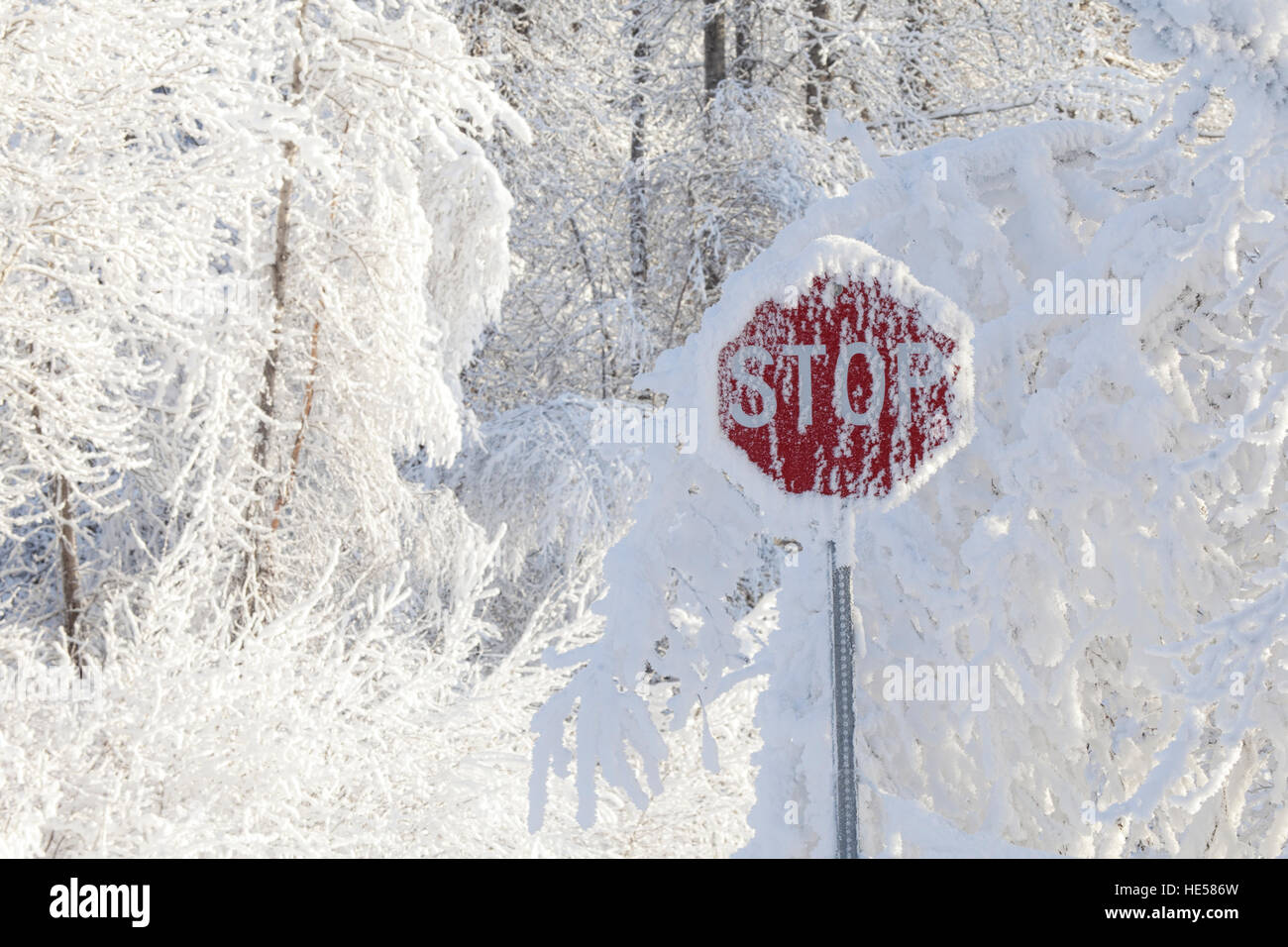 Snow covered stop sign hi-res stock photography and images - Alamy