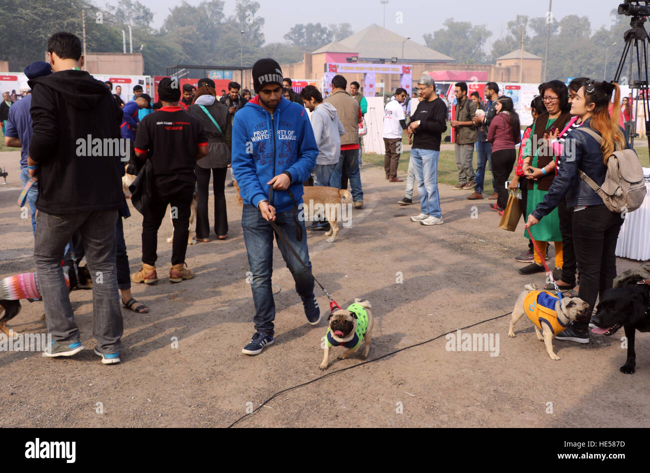 Pet Fed dog fair 2016 Stock Photo - Alamy