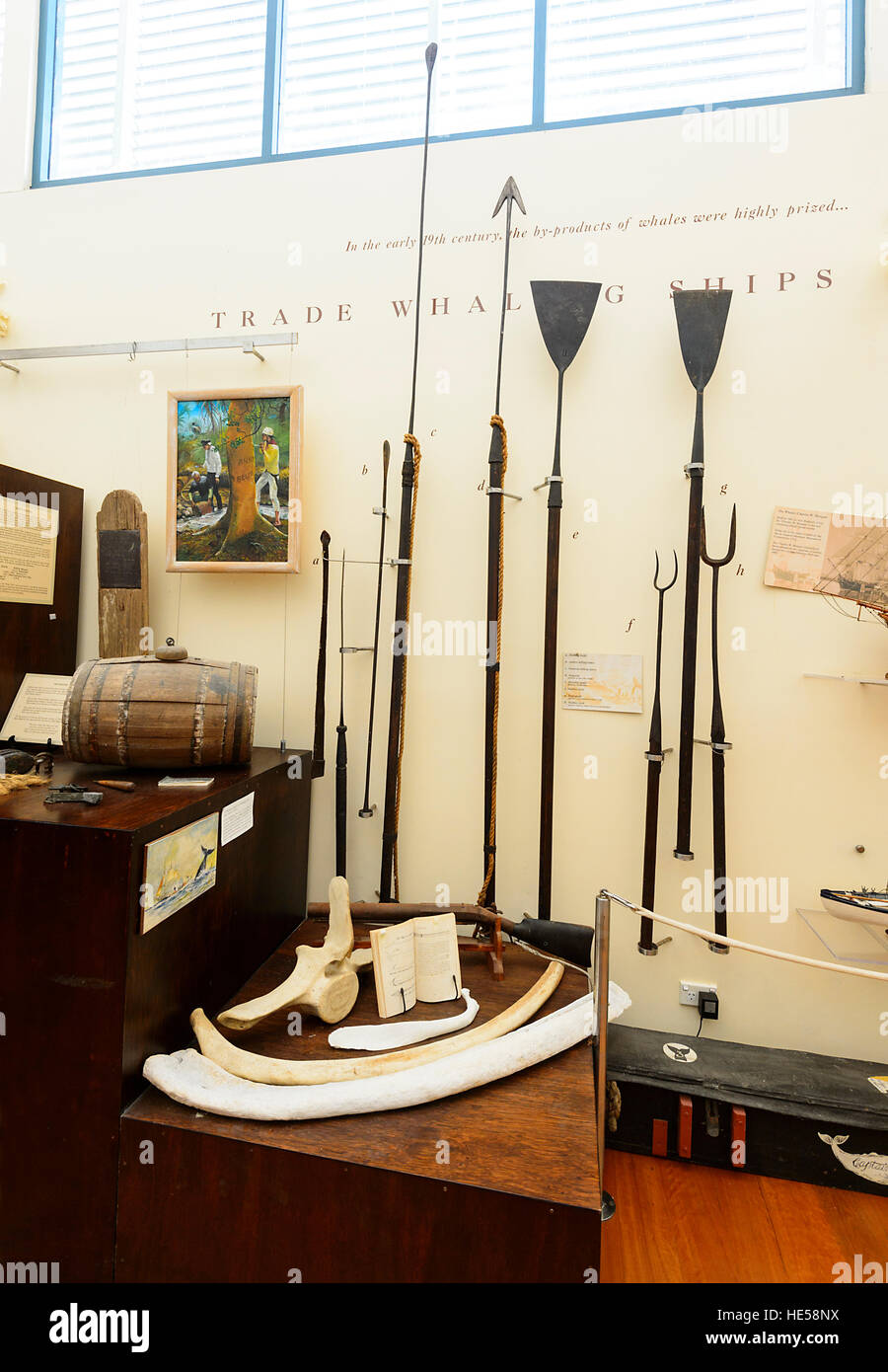 Whaling industry hi-res stock photography and images - Alamy