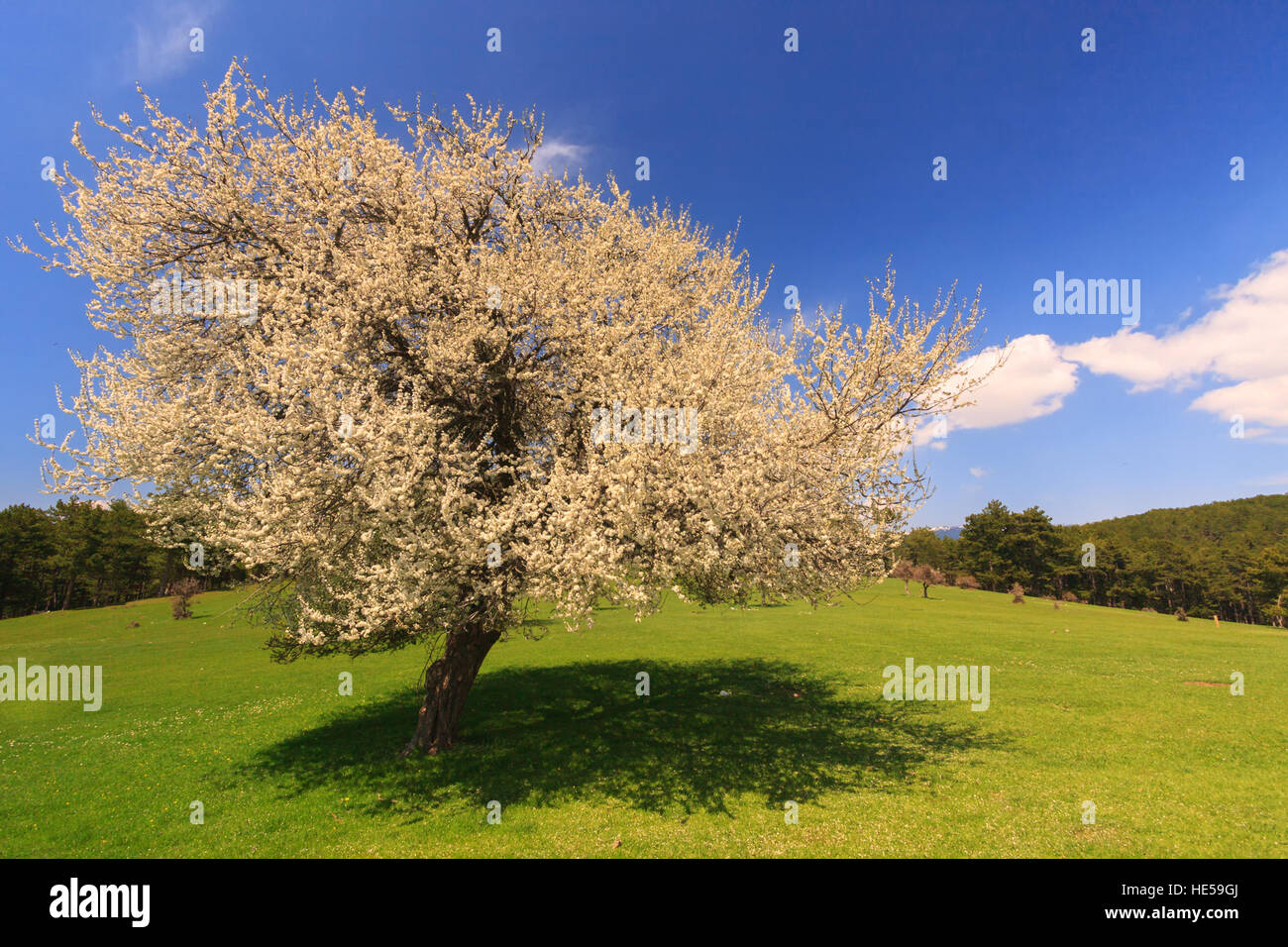 Season landscape landscapes hi-res stock photography and images - Alamy
