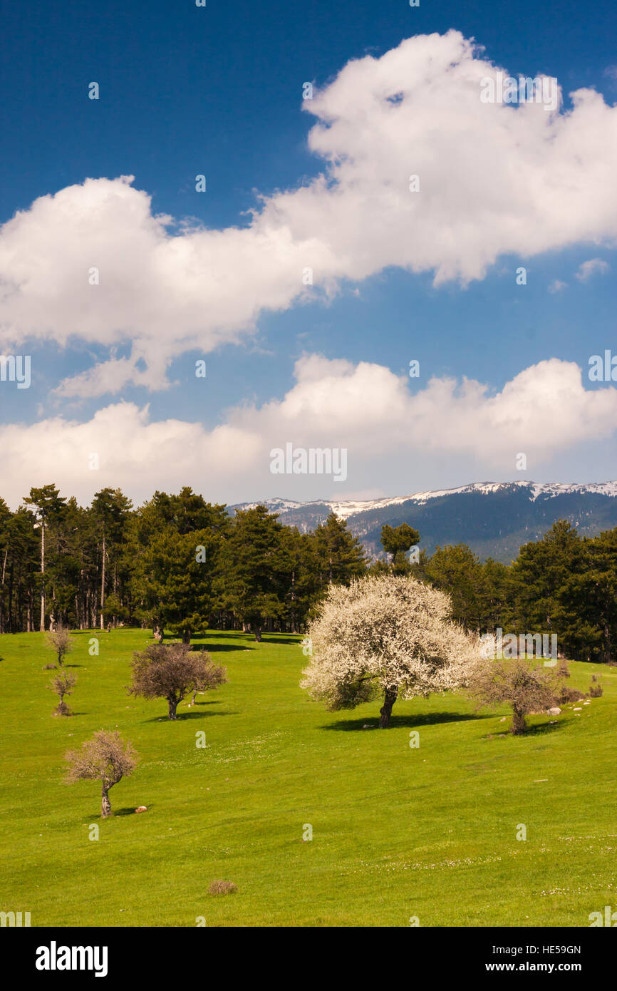 Season landscape landscapes hi-res stock photography and images - Alamy