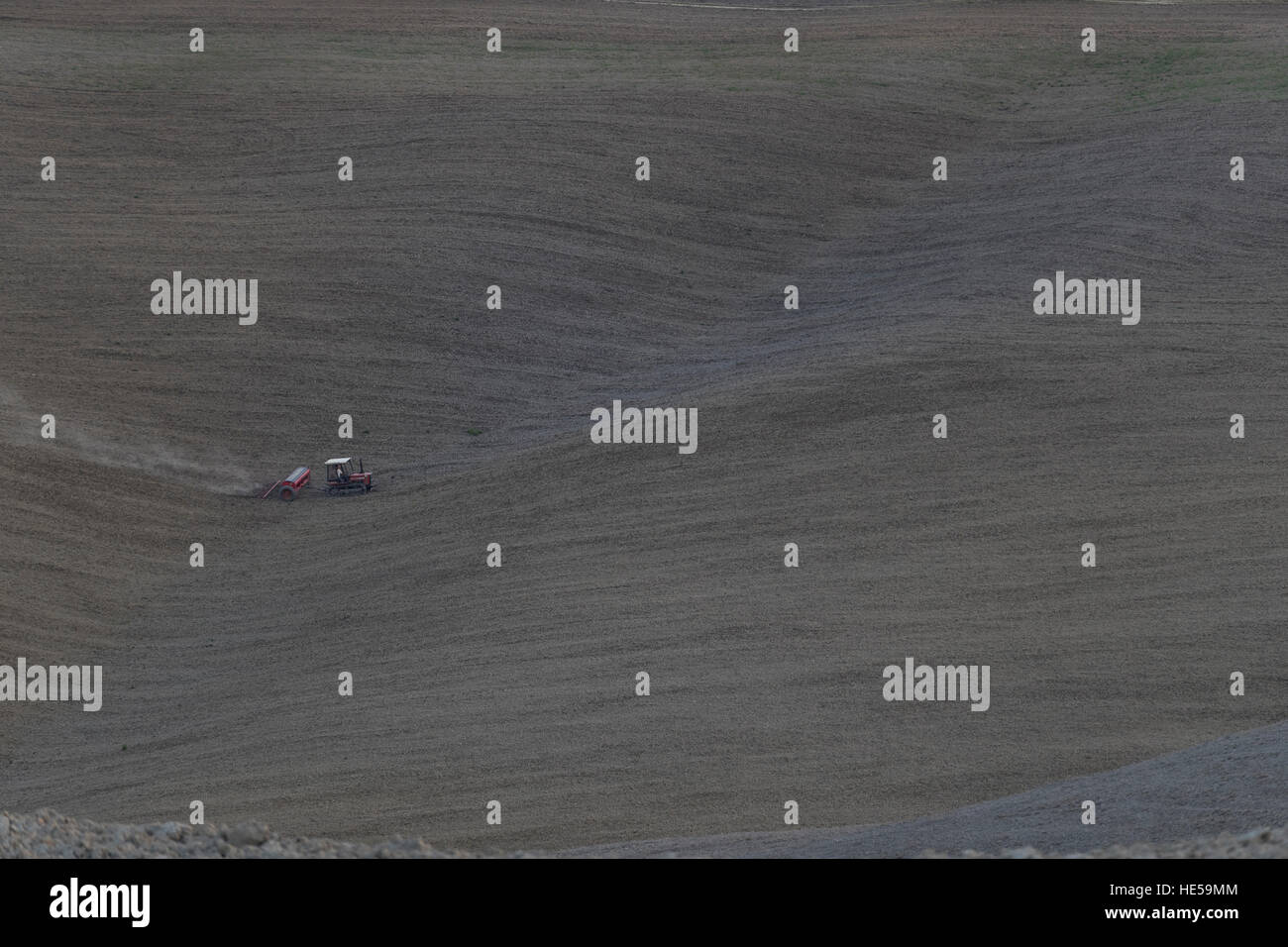The thin soils of Tuscany ploughed at steep angles. Tuscan hills near ...