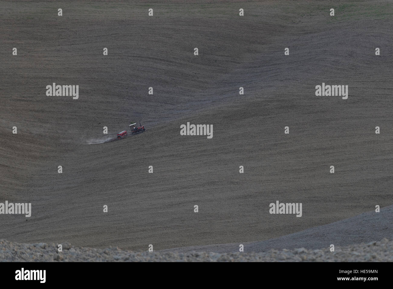 The thin soils of Tuscany ploughed at steep angles. Tuscan hills near ...