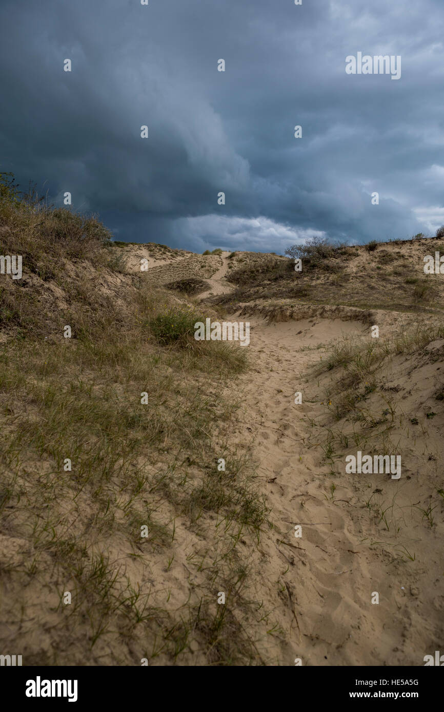 Dune system of Bray Dunes, Dunkirk, France Stock Photo - Alamy