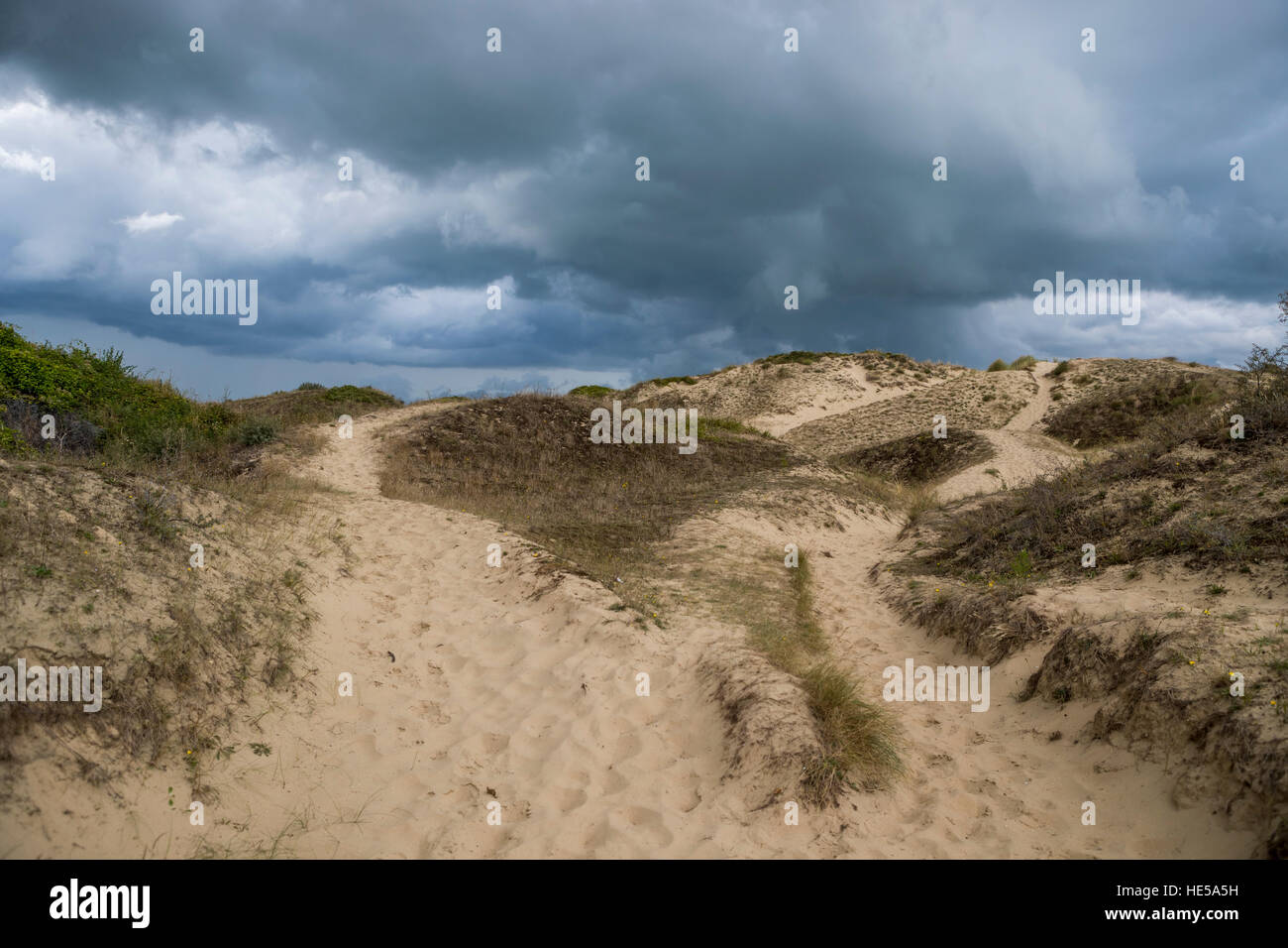 Dune system of Bray Dunes, Dunkirk, France Stock Photo - Alamy