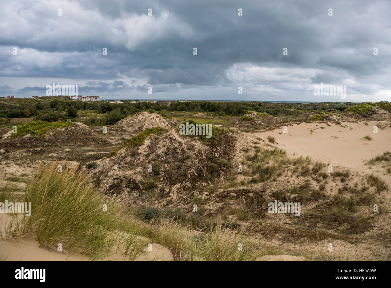 Dune system of Bray Dunes, Dunkirk, France Stock Photo - Alamy