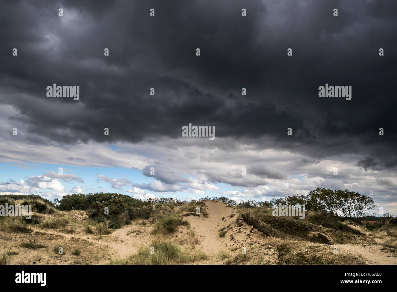 Dune system of Bray Dunes, Dunkirk, France Stock Photo - Alamy